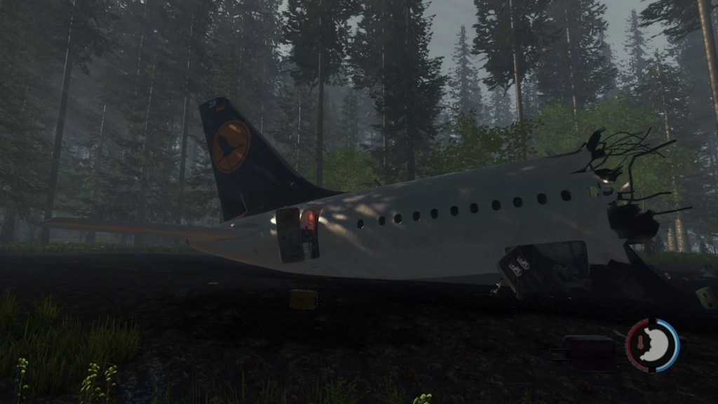 99 Notti In The Forest True Story Spiegata